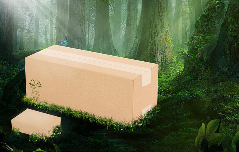 packaging - Bio-degradable & bio-based green eyewear frame manufacturer ...